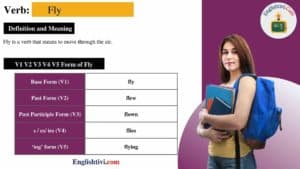 Fly V1 V2 V3 V4 V5 Base Form, Past Simple, Past Participle Form of Fly ...