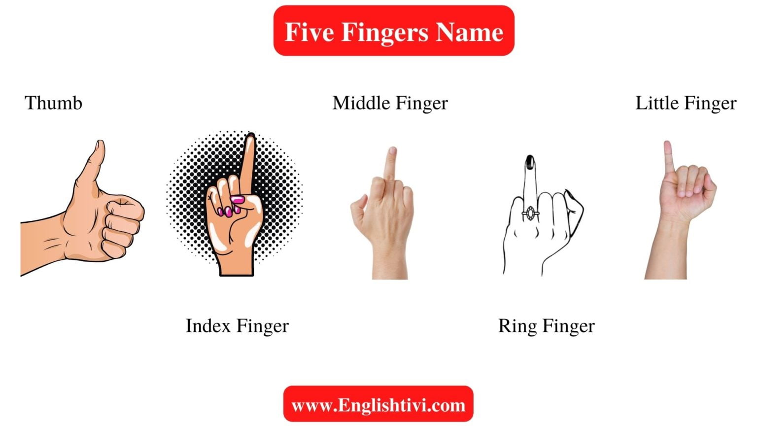 Five Fingers Name in English with Pictures - Englishtivi